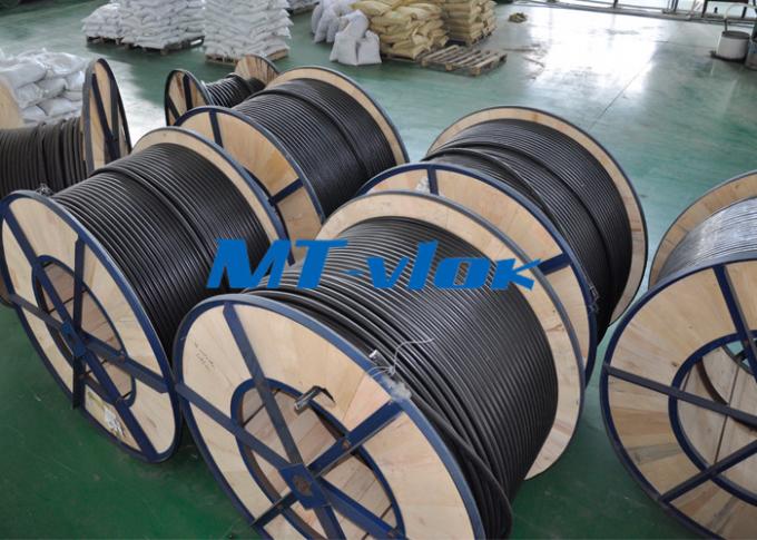 TP304 / 304L Welded Stainless Steel Coiled Tubing For Multi - Core Tube